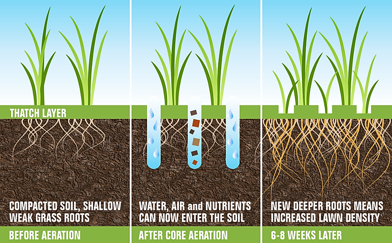 Core Aeration — de la Rosa Landscaping